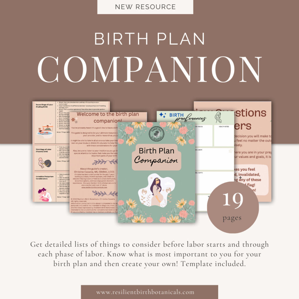 Birth Plan Companion - Resilient Birth & Botanicals